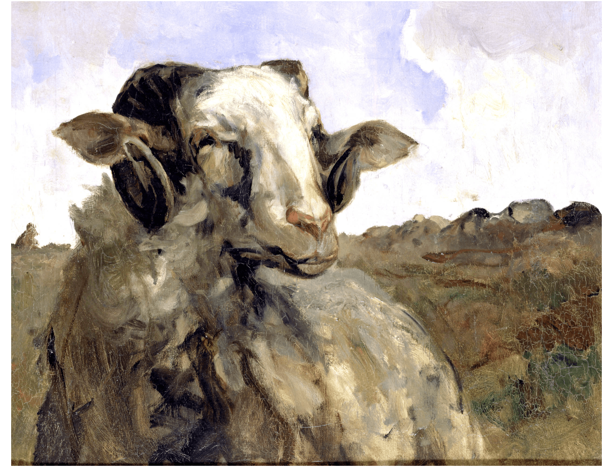 Animal painter Willem van der Nat – Lyklema Fine Art